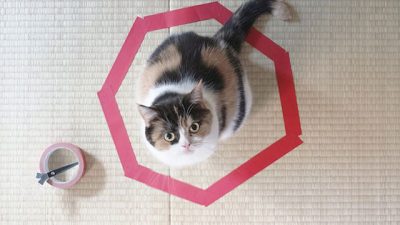 Krokodil, a droga mais poderosa e mortal, muito pior que o crack ...