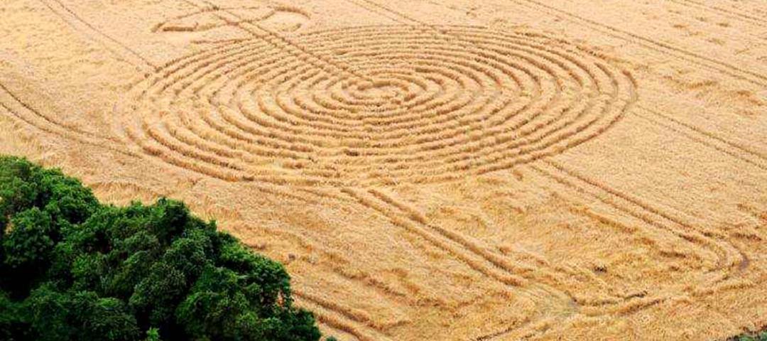 Agroglifos | ESPÍRITOS DA MATA