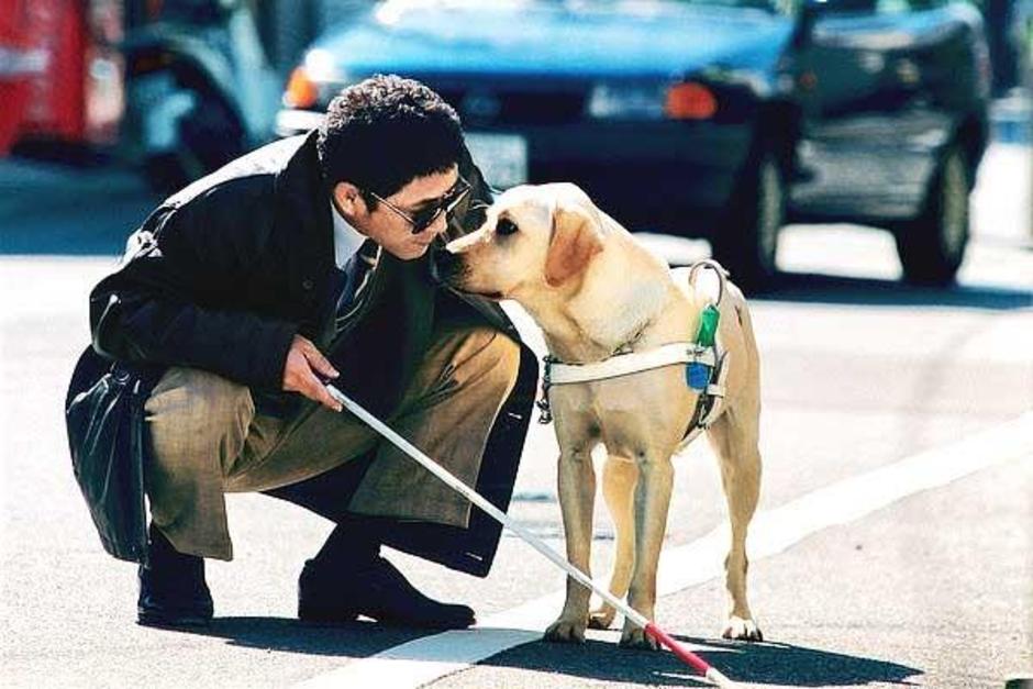 O que uma pessoa cega "enxerga"? – Fatos Desconhecidos