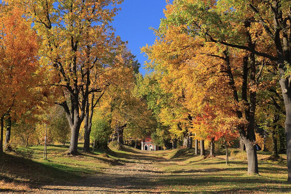 24 razões para nunca visitar a Polônia – Fatos Desconhecidos