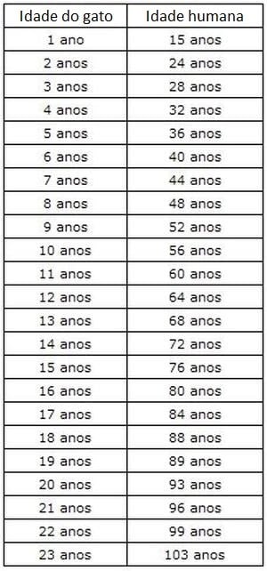 Saiba como calcular a idade humana de seu gato – Fatos Desconhecidos