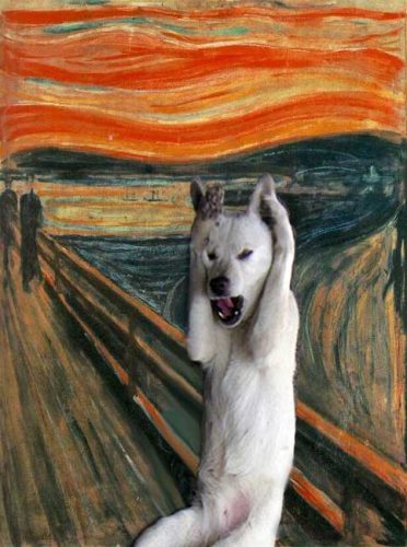 5 coisas que você faz achando que está correto mas que se provam como ...