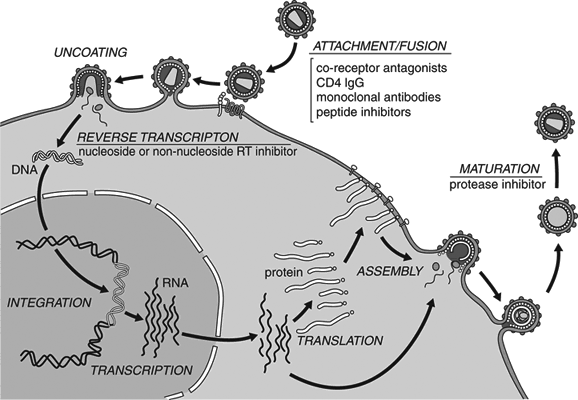 8 sinais de que vampiros podem existir – Fatos Desconhecidos