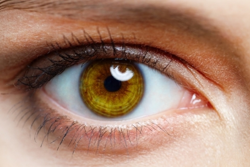 6 formas de mudar a cor dos olhos naturalmente – Fatos Desconhecidos