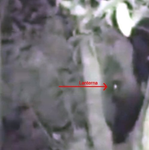 O que aconteceu com o ET Bilu depois de tanto tempo? – Fatos Desconhecidos