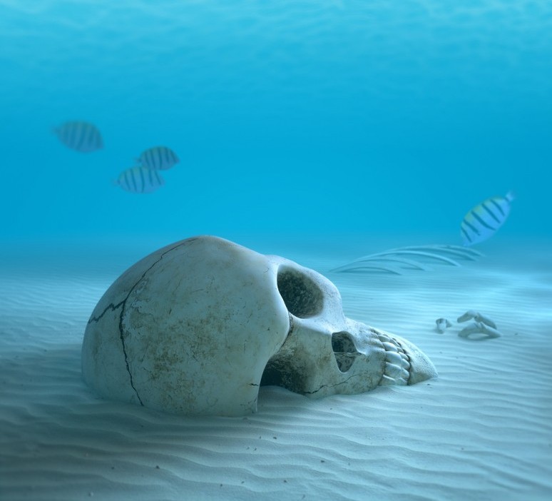 10 curiosidades horríveis que vão te deixar com muito medo do mar ...