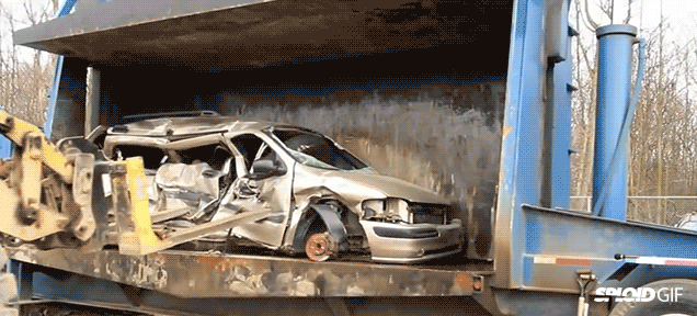 14 gifs que te deixarão aliviado por ter acessado a internet hoje ...