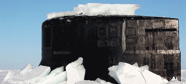 14 gifs que te deixarão aliviado por ter acessado a internet hoje ...