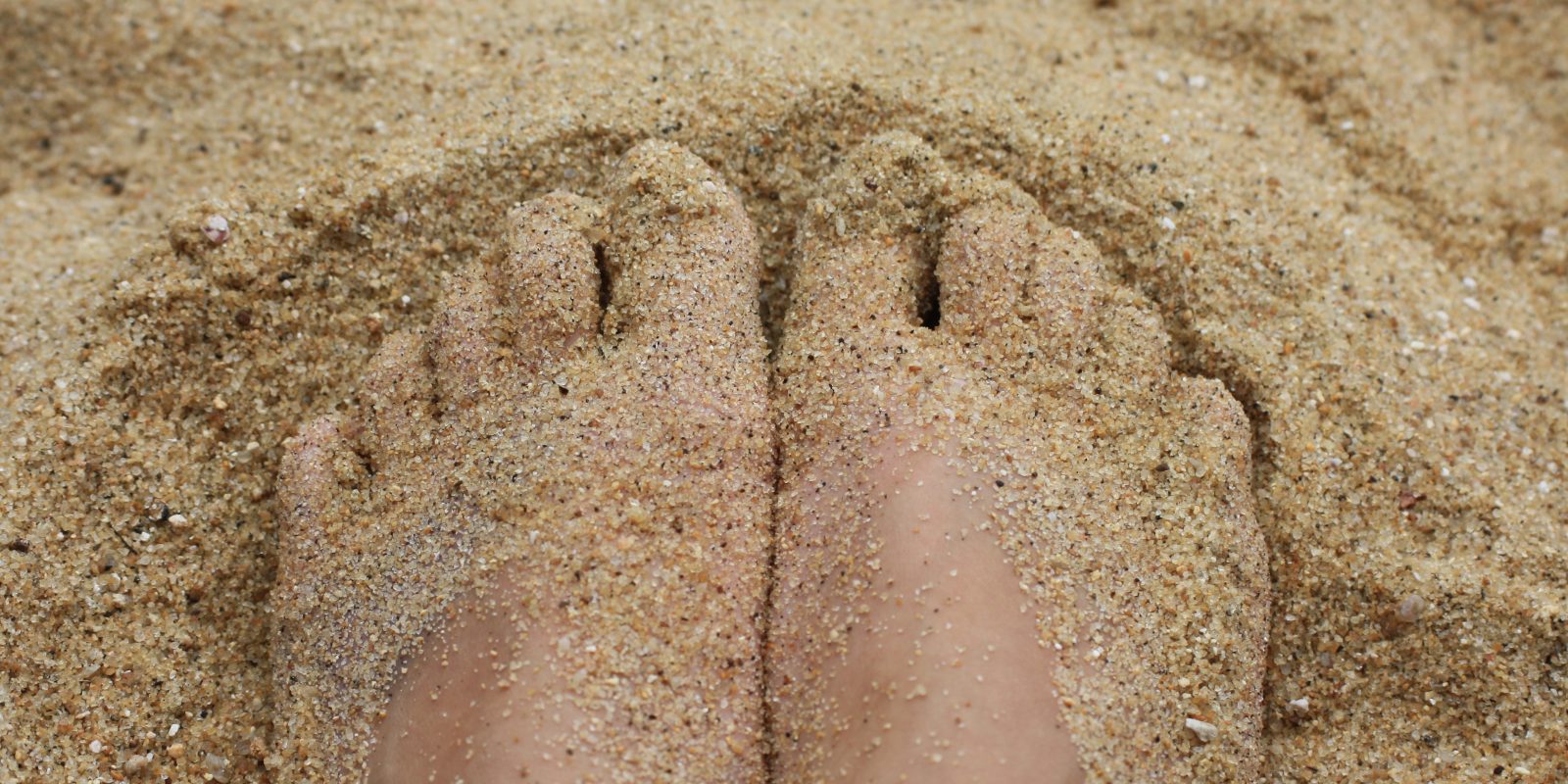 O que acontece se você não tratar o bicho de pé? – Fatos Desconhecidos