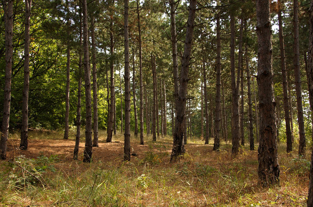 21 imagens terríveis que vão revelar fobias que você não sabia que ...