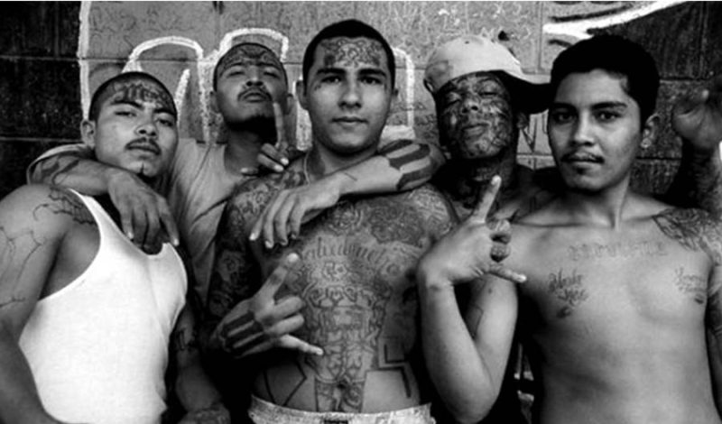 7 coisas que você não sabia sobre o MS-13, a gangue mais perigosa do ...