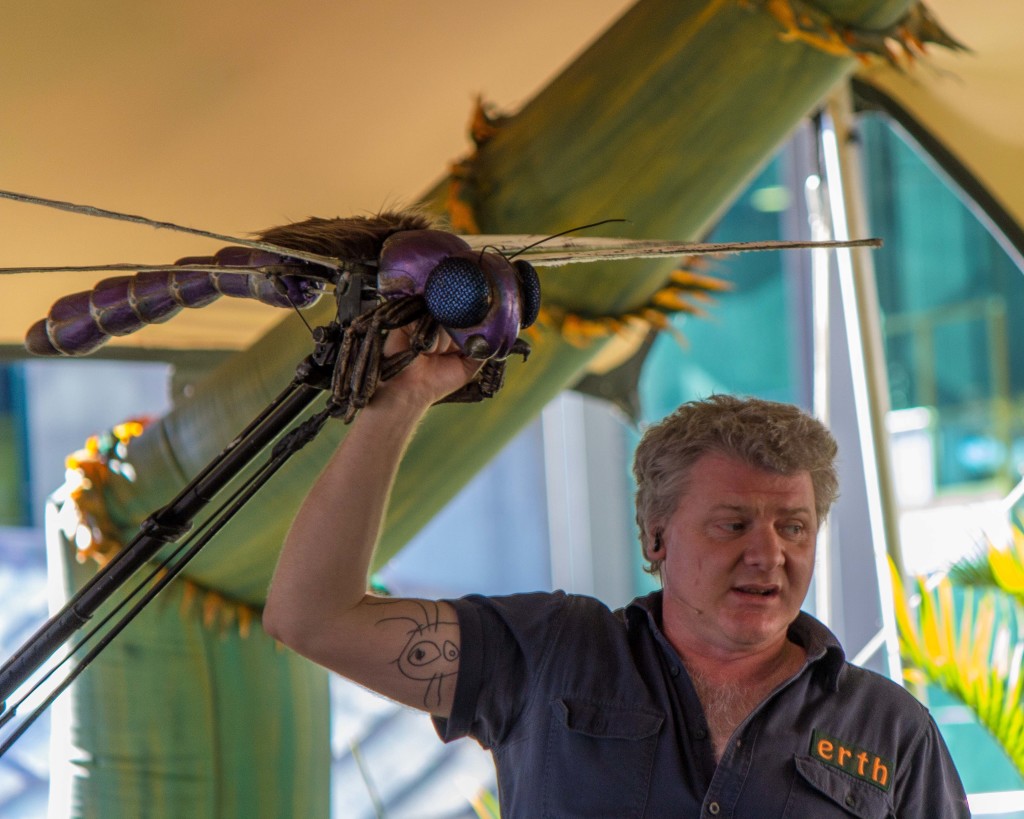 7 insetos mais gigantes que existem no planeta • DOL