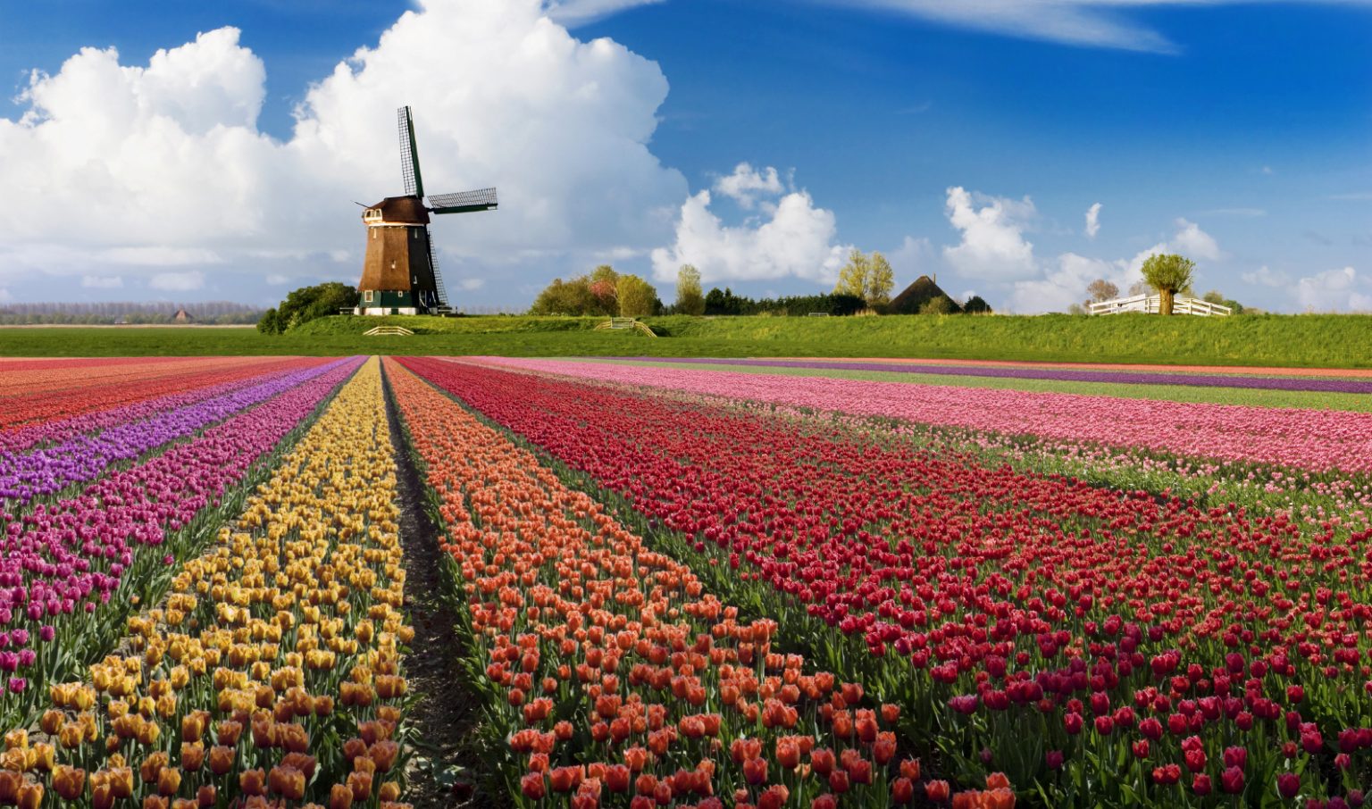 7 razões pelas quais a Holanda é o país do futuro – Fatos Desconhecidos