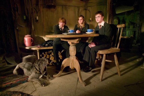 7 Vezes Em Que Harry Potter Deveria Ter Sido Expulso De Hogwarts Fatos Desconhecidos