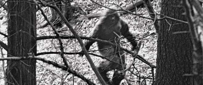 A lenda dos Ningen, criaturas jamais vistas do Ártico – Fatos Desconhecidos
