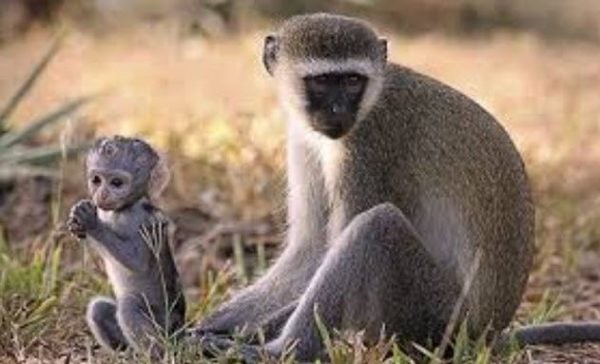 7 mistérios que nunca foram resolvidos – Fatos Desconhecidos