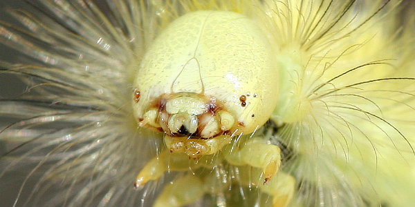 7 condições médicas que parecem fenômenos paranormais – Fatos Desconhecidos