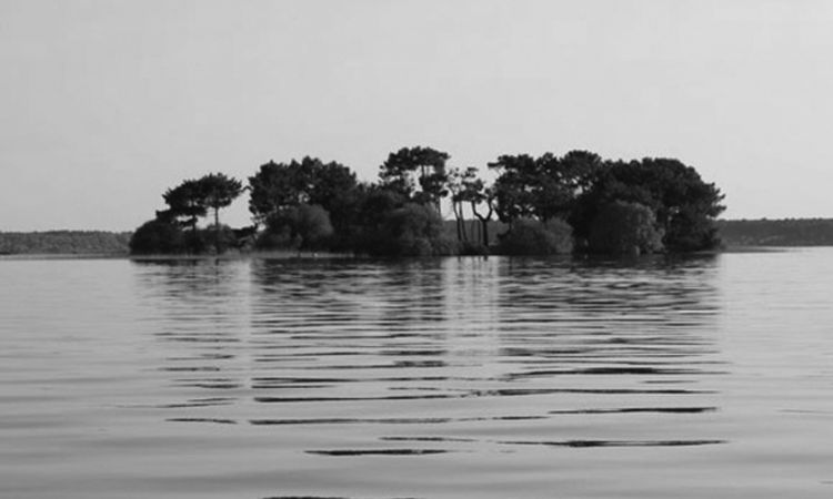 O que aconteceu em Nazino, a ilha canibal? – Fatos Desconhecidos