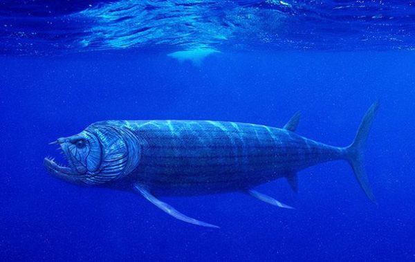 8 monstros incríveis que já dominaram os oceanos – Fatos Desconhecidos