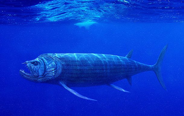 8 monstros incríveis que já dominaram os oceanos – Fatos Desconhecidos