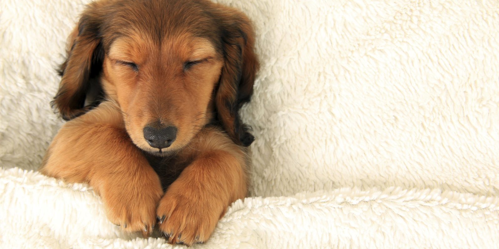 Um cochilo pode salvar sua vida, descubra como – Fatos Desconhecidos