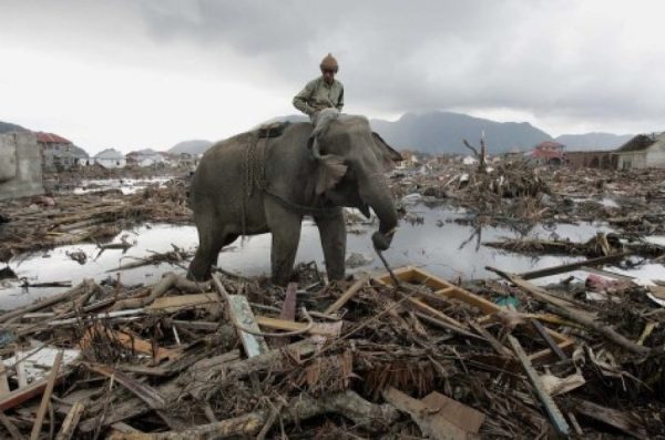 7 coisas que você não sabia sobre Jet Li – Fatos Desconhecidos