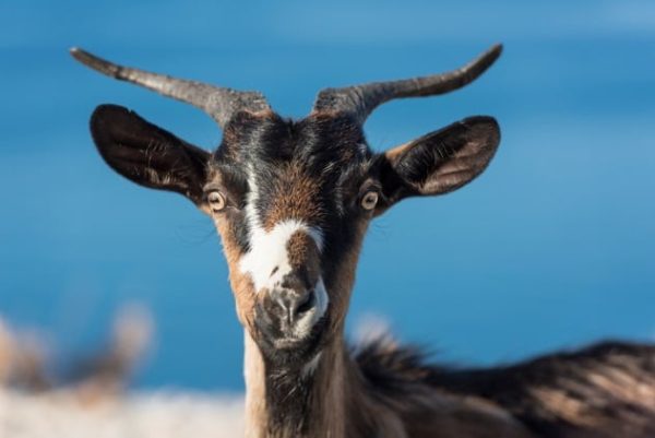 7 produtos de beleza surreais que eram utilizados no passado – Fatos ...