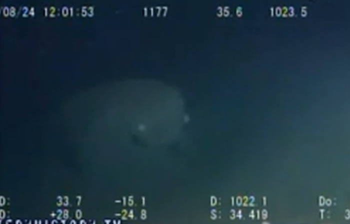 A lenda dos Ningen, criaturas jamais vistas do Ártico – Fatos Desconhecidos