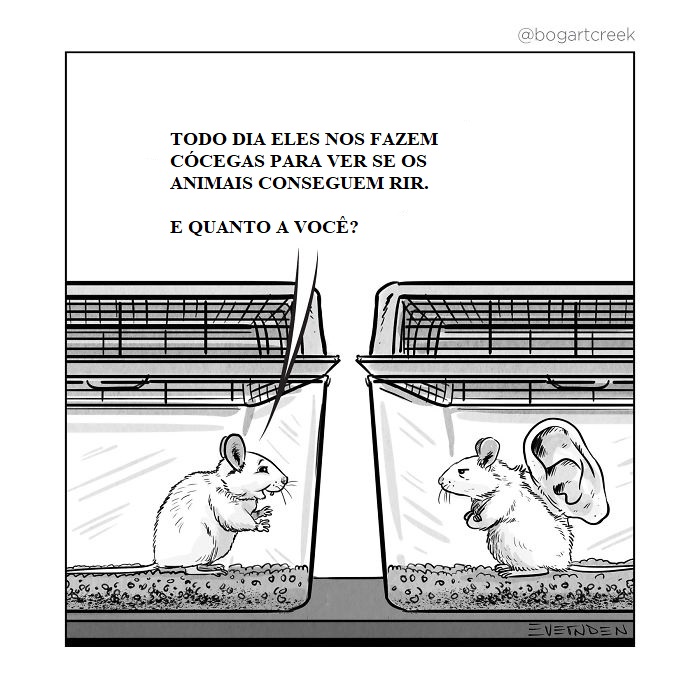 15 tirinhas hilárias com um humor que não é para todos – Fatos ...