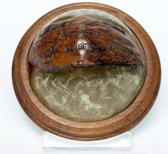 7 coisas que você não sabia sobre John F. Kennedy – Fatos Desconhecidos