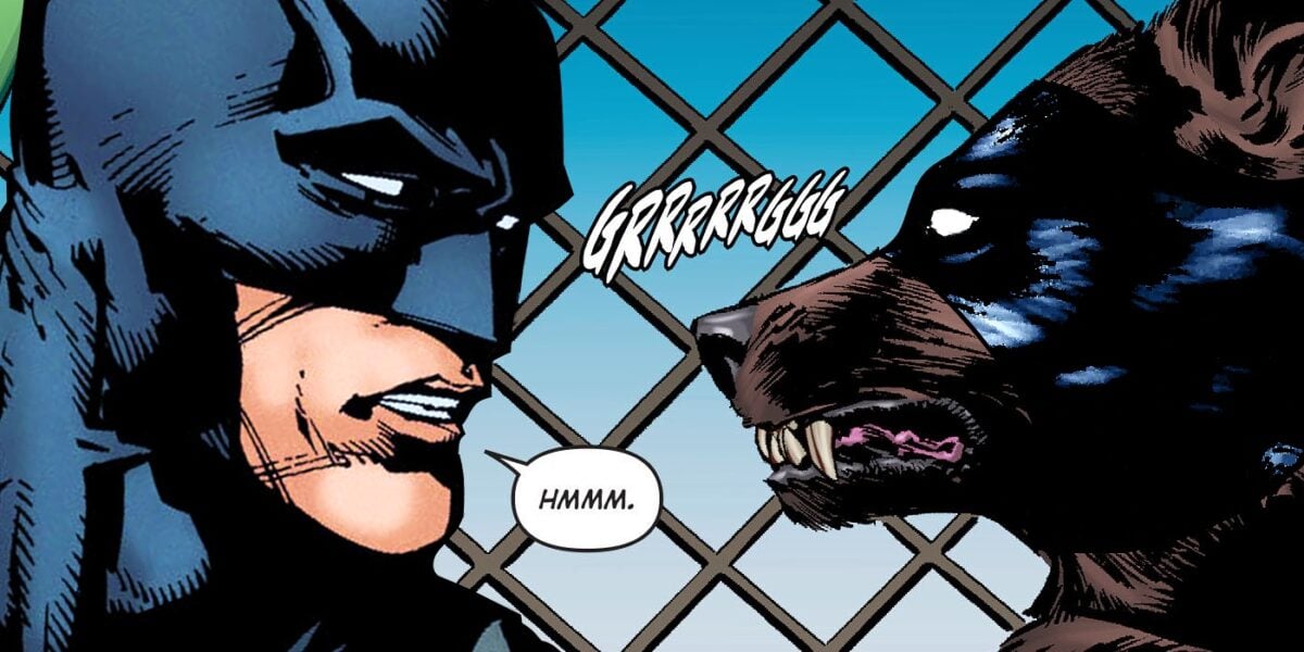 Cachorro do Batman ganhará filme live-action pela Warner Bros. – Fatos ...