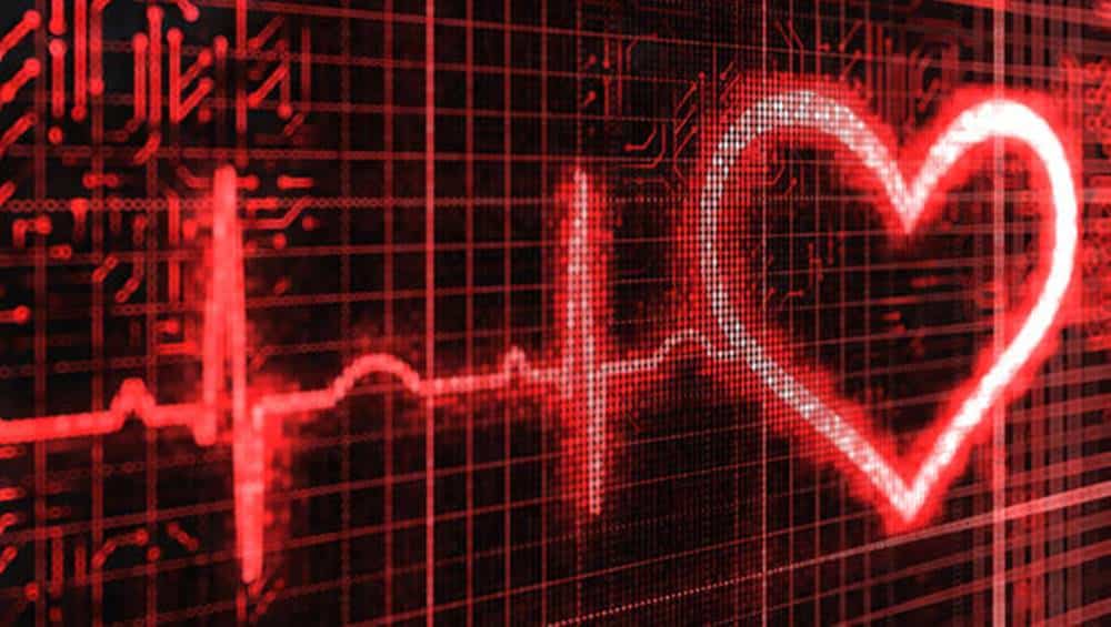 Por que você nunca ouve falar em câncer no coração? – Fatos Desconhecidos