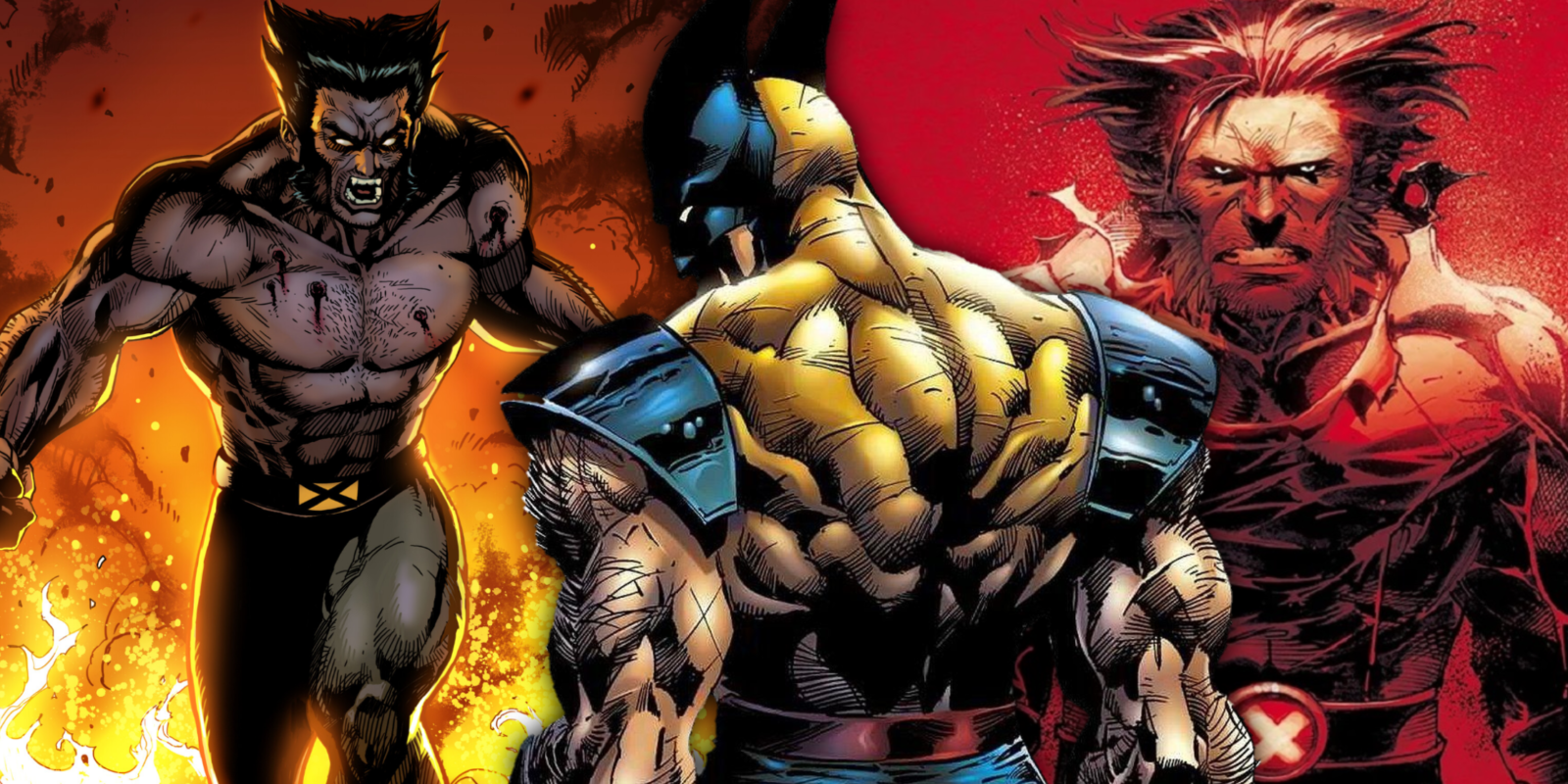 Novos detalhes sobre o fator de cura do Wolverine são revelados – Fatos ...