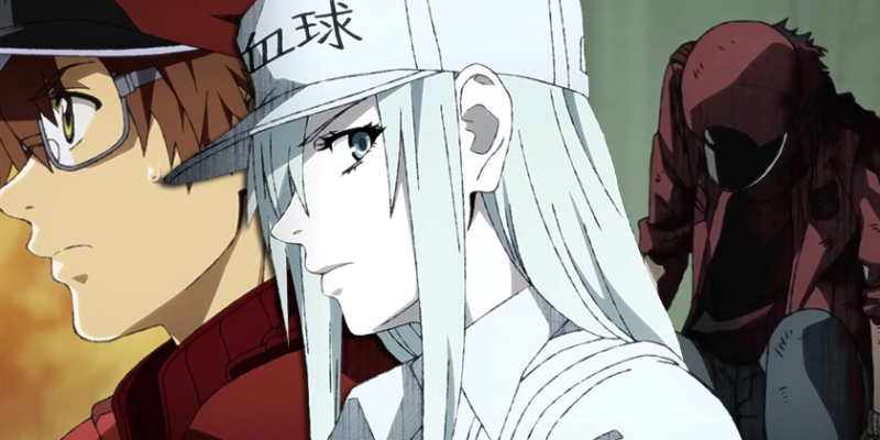 Spin-off de Cells at Work tem primeiro trailer divulgado - Fatos ...