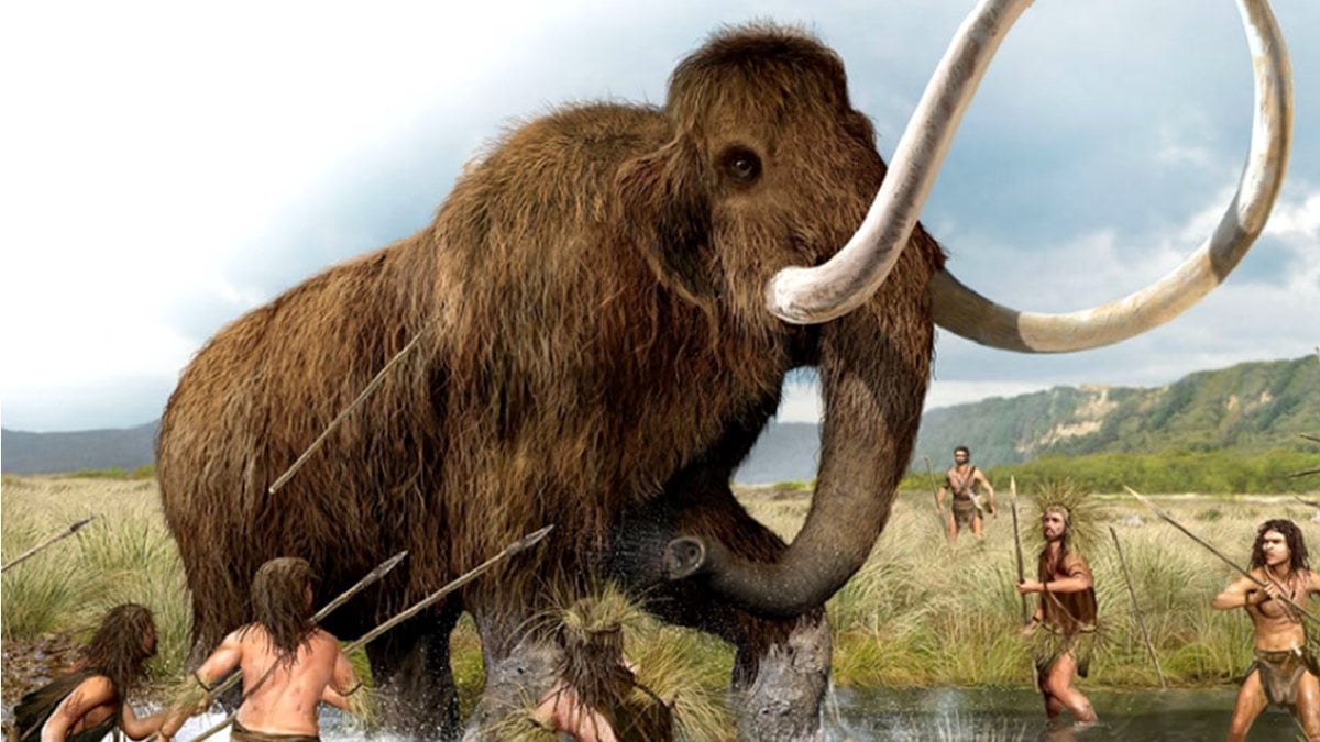 O mamute está vivo atualmente? – Fatos Desconhecidos