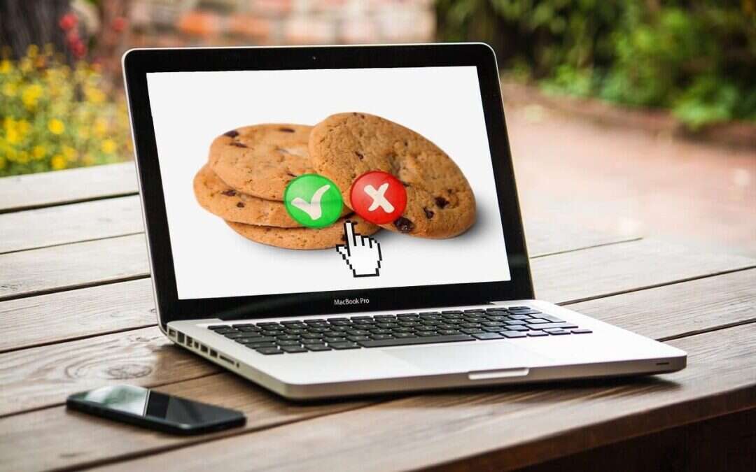 Saiba o que são os cookies e porque os sites guardam dados sobre você