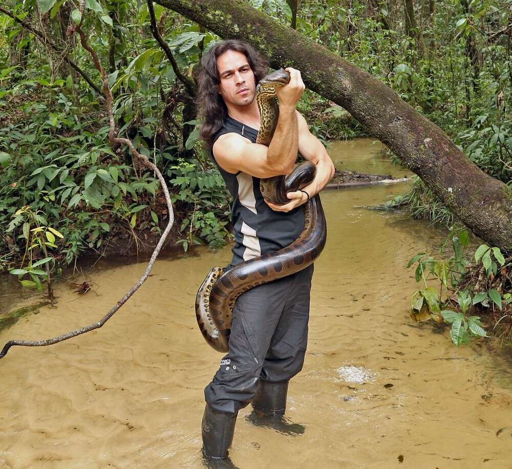 Sucuri de 3,2 metros e 30 kg é capturada. Confira o vídeo