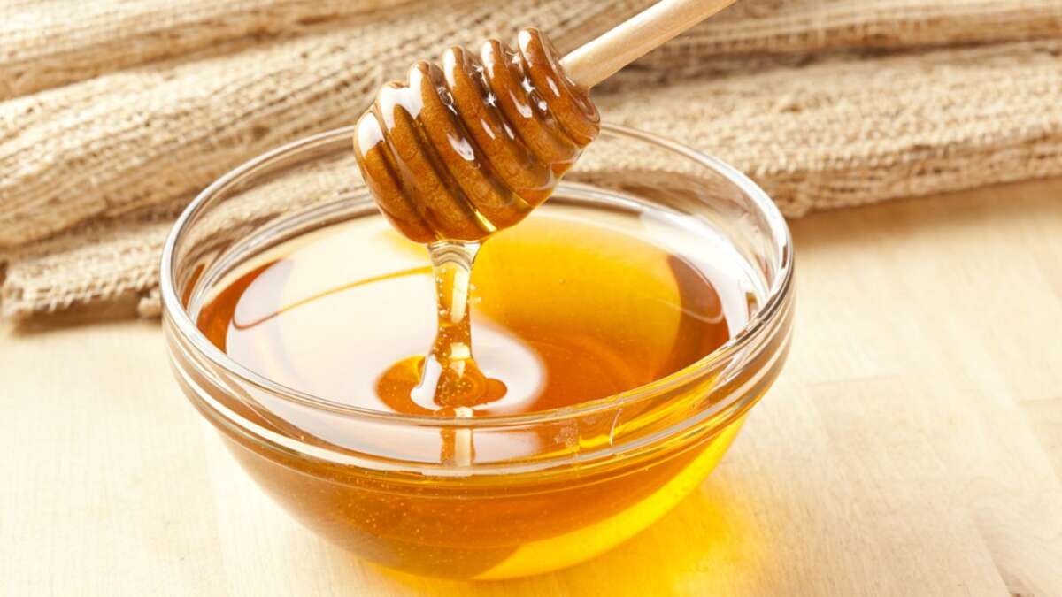 Chip de mel: cientistas criam novo dispositivo que imita funções ...