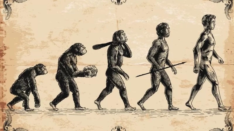 Por que e como o ser humano perdeu a cauda na evolução?