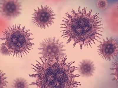 Vírus sabiá – Fatos Desconhecidos