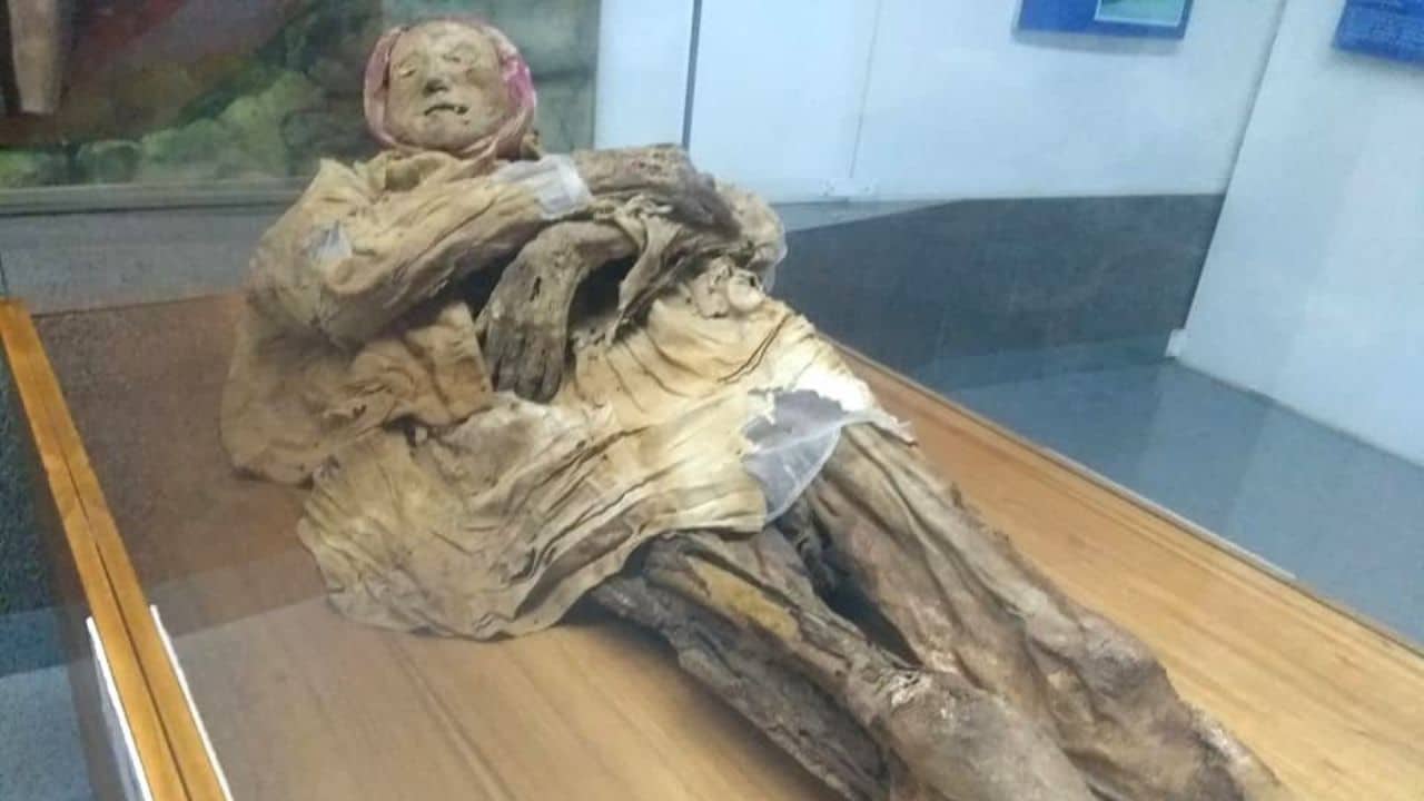 A misteriosa identidade da múmia de Guano – Fatos Desconhecidos