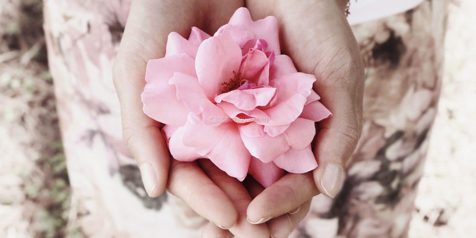 Virgindade, o mito do hímen que persiste até hoje sem base científica ...