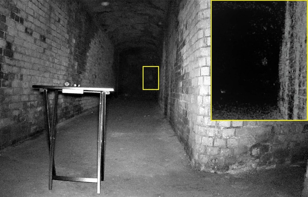Grupo de paranormais faz foto impressionante de fantasma em forte mal ...