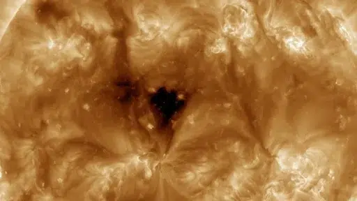 Entenda o que é o buraco coronal no Sol, 20x maior que a Terra