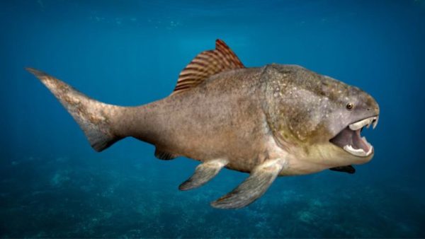 Cientistas descobrem que tamanho do Dunk estava errado