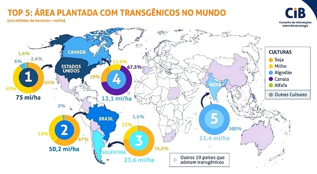 O que são alimentos transgênicos?