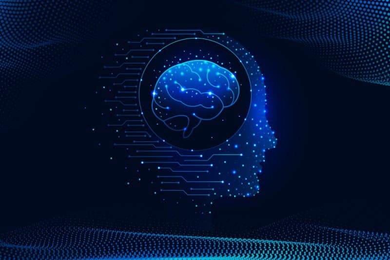 Mini-cérebros humanos imitam biocomputador mais potente