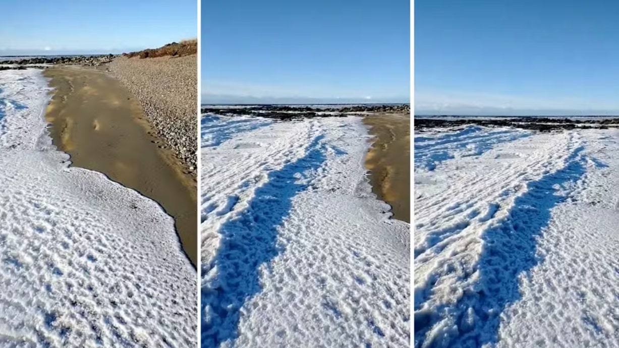 Espetáculo incomum: temperaturas extremas congelam ondas do mar na ...