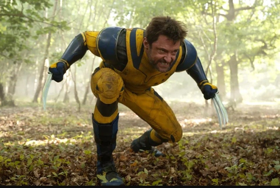 Conheça o carcaju, animal que inspirou a criação do personagem ...