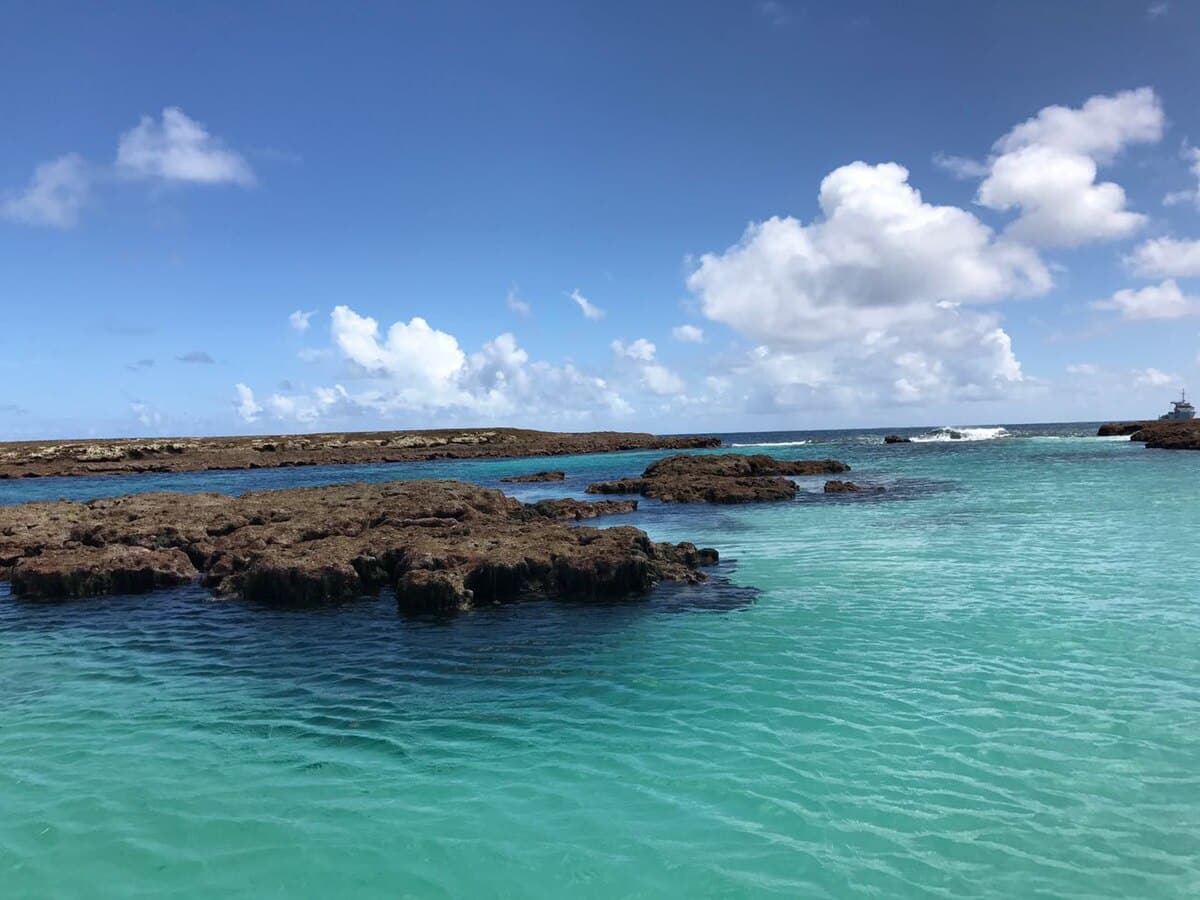 Atol das Rocas é o único do tipo no Oceano Atlântico